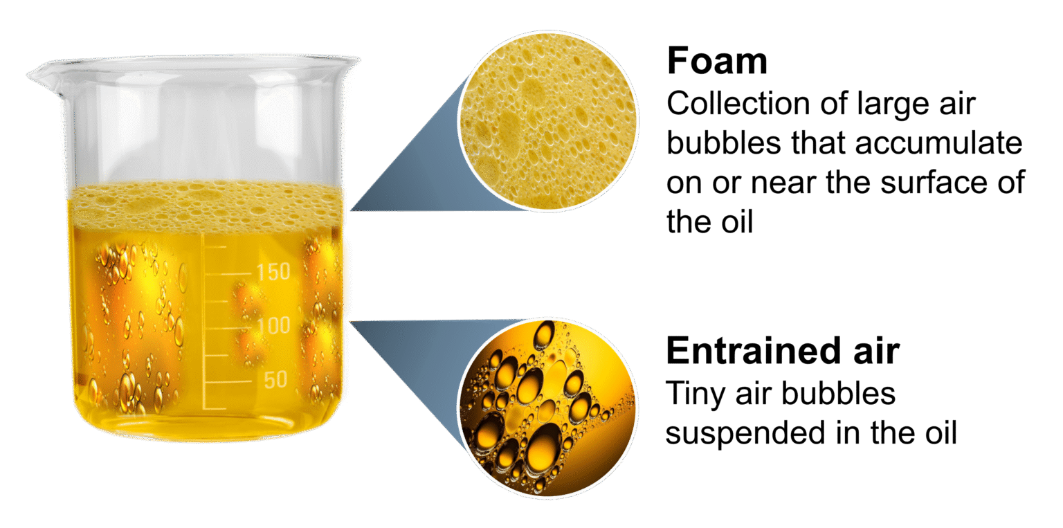 Beer experiments and dangerous crustaceans aside, let’s finish off this ...